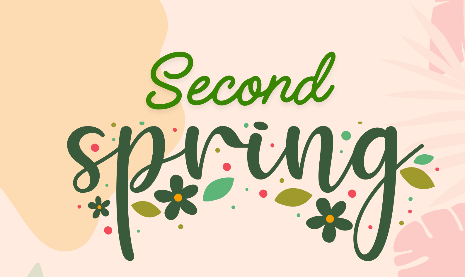 Second Spring - MentorMeet